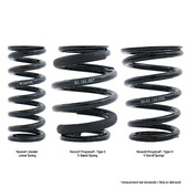 Replacement Springs for BC Racing Coilovers | Official Distributor ...